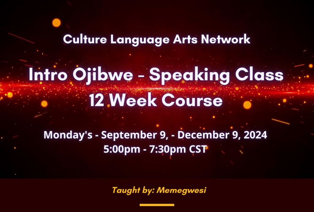 Programs – Culture Language and Arts Network - Minneapolis American ...